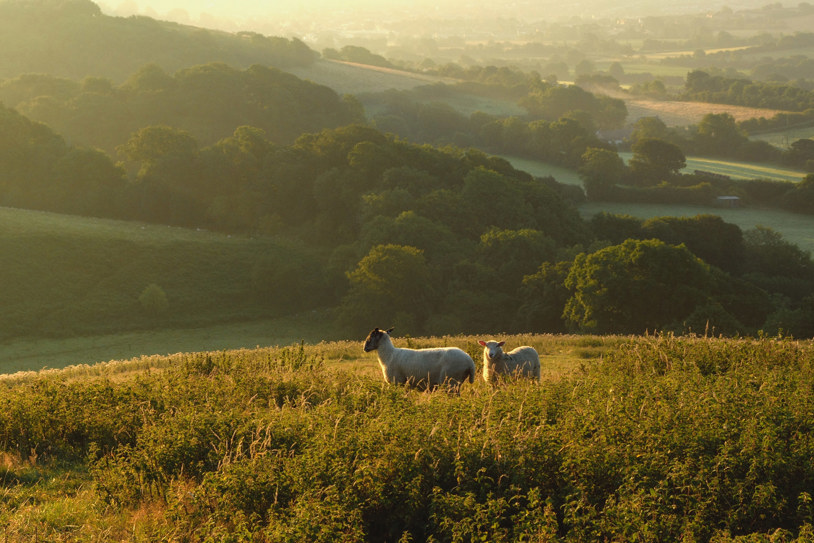 Country Roads of Wales, Devon and Cornwall Tour | Grand European Travel